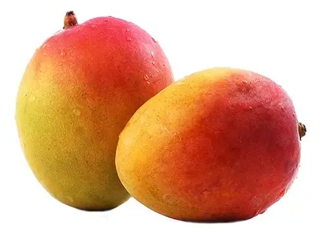 Mango Oro 1kg – Camino Orgánico